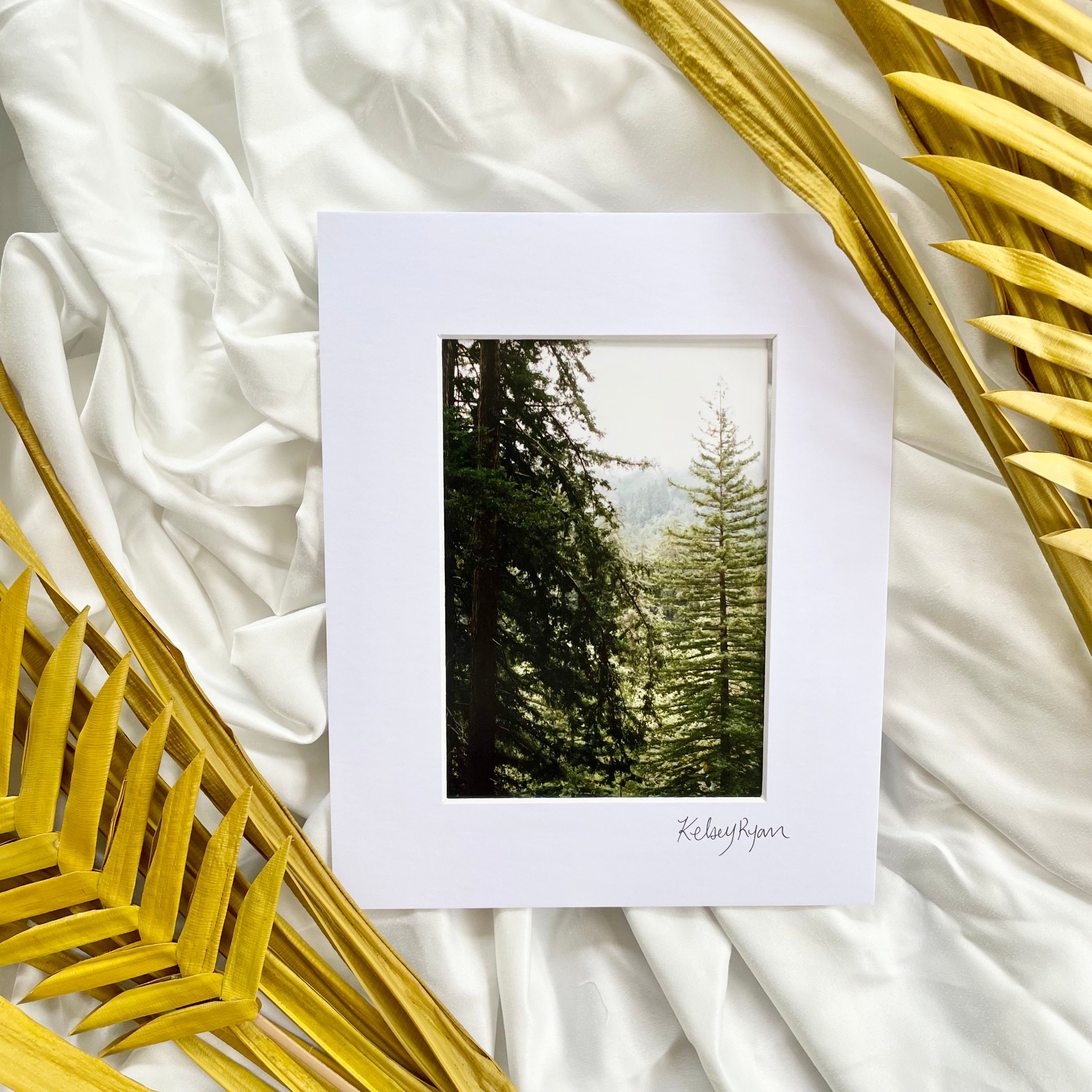 Kelsey Ryan Photography Forest Bath | The Ballog