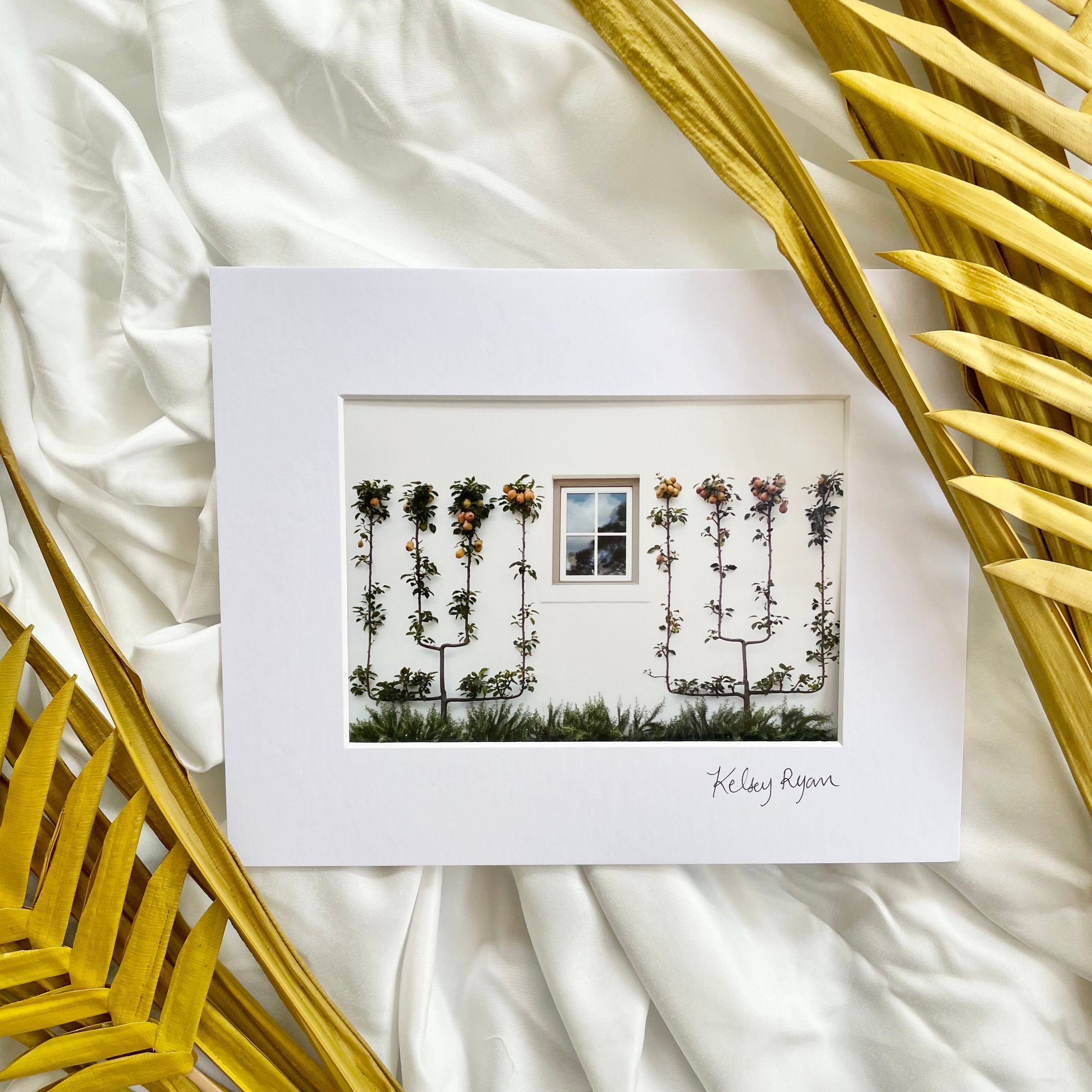 Kelsey Ryan Photography Citrus | The Ballog